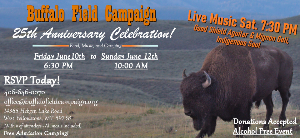 Buffalo Field Campaign: Working to Stop the Yellowstone Bison Slaughter