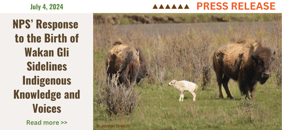 Buffalo Field Campaign: Working to Stop the Yellowstone Bison Slaughter