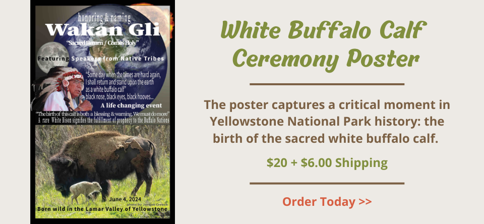 Buffalo Field Campaign: Working to Stop the Yellowstone Bison Slaughter